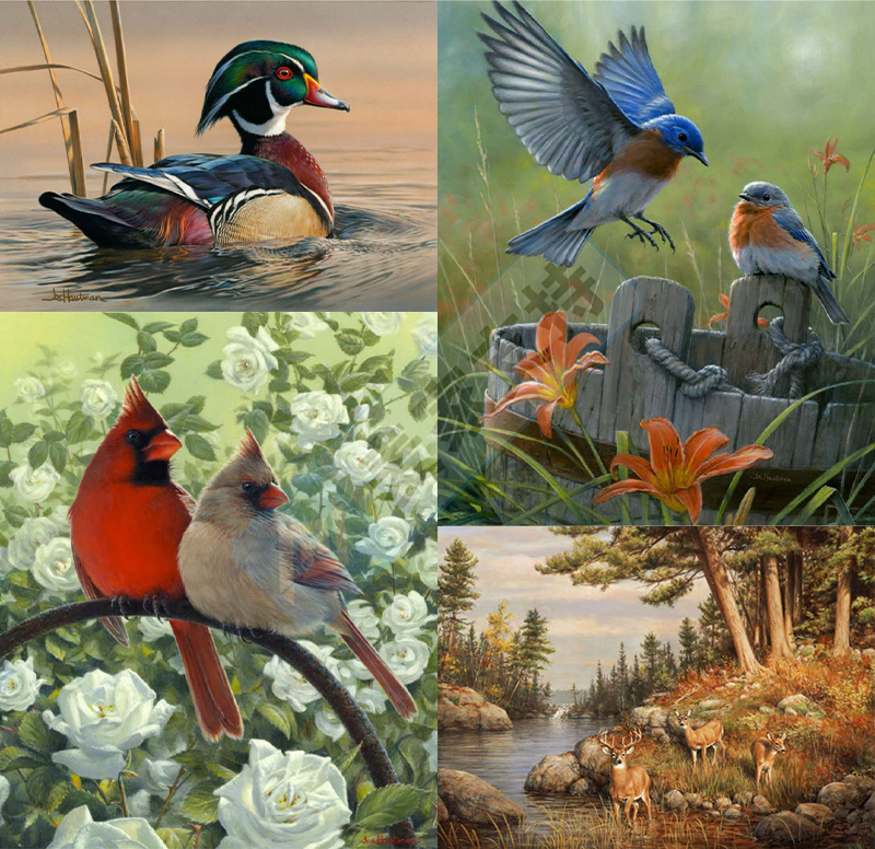 24-cv-10639，时隔一年，Joseph Murray Hautman动物版权维权再回归_大数跨境｜跨境从业者专属的媒体平台