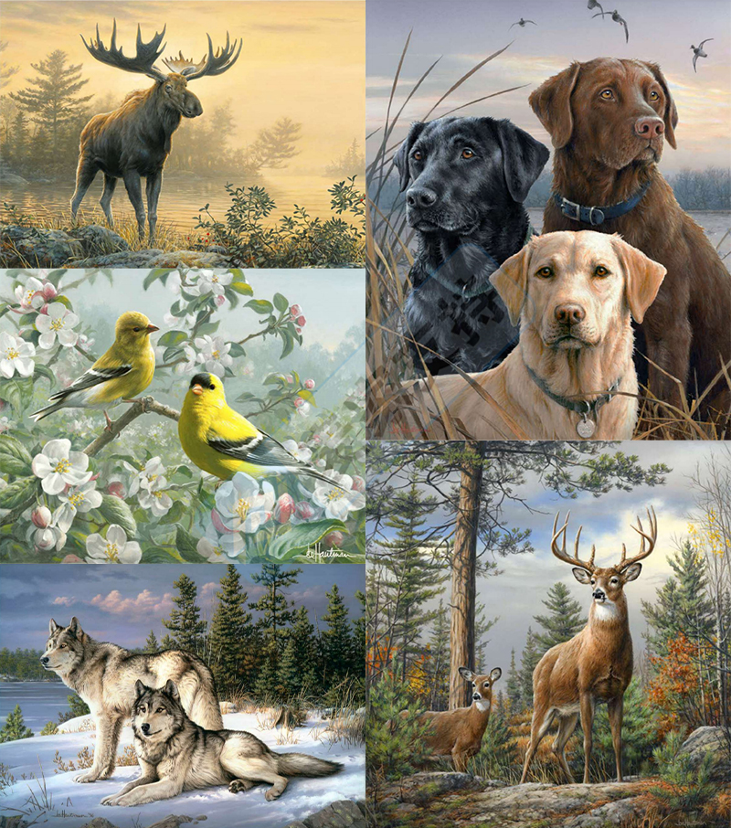 24-cv-10639，时隔一年，Joseph Murray Hautman动物版权维权再回归_大数跨境｜跨境从业者专属的媒体平台