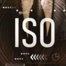 ISO（Independent Sales Organization）：独立销售组织_大数跨境｜跨境从业者专属的媒体平台