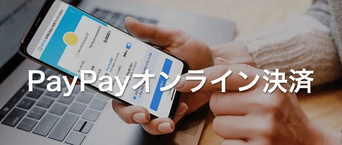 日本“支付宝”—PayPay_大数跨境｜跨境从业者专属的媒体平台