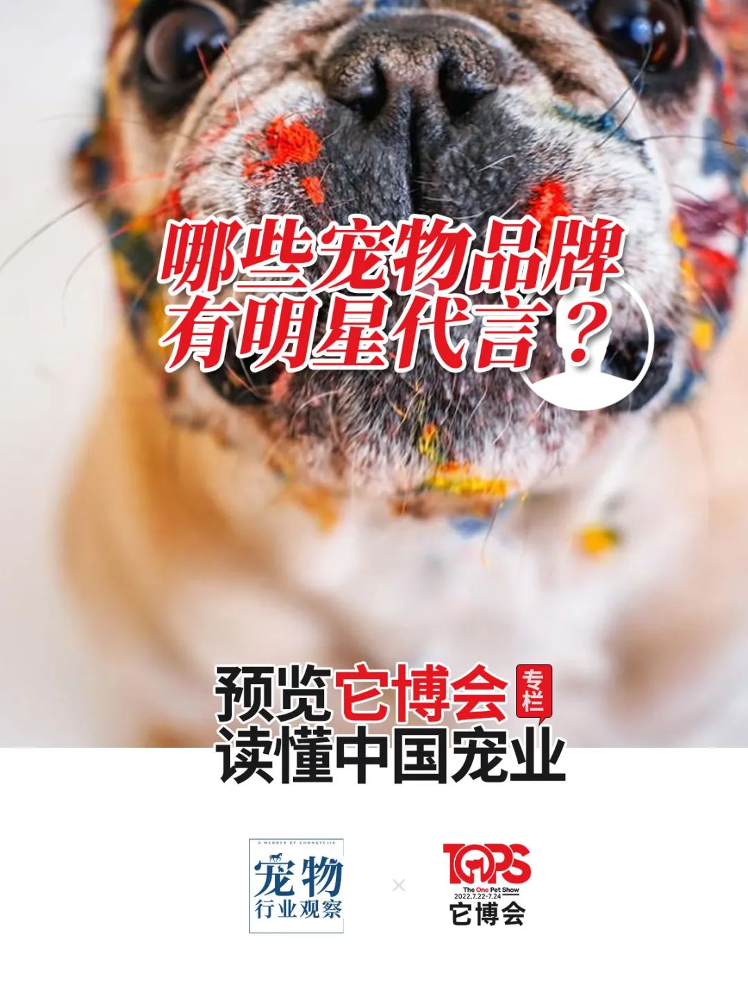 明星代言品牌的货更好卖？来这里寻TA丨预览它博会_大数跨境｜跨境从业者专属的媒体平台