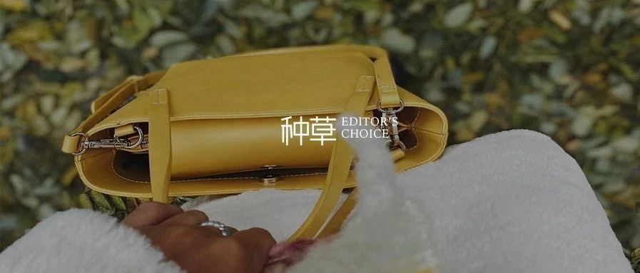 种草 | 跟着PANTONE玩转2021年度流行色_大数跨境｜跨境从业者专属的媒体平台