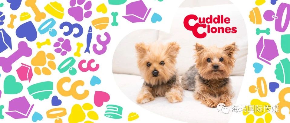 海玛国际传媒|TikTok流量破亿的定制宠物玩偶CUDDLE CLONES如何玩转营销？！- 大数跨境