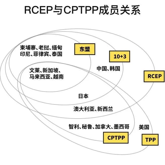 通俗解读！RCEP和CPTPP原来是这么回事？_大数跨境｜跨境从业者专属的媒体平台