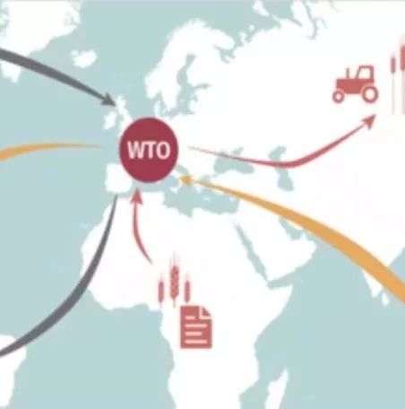 WTO/TBT通报_大数跨境｜跨境从业者专属的媒体平台