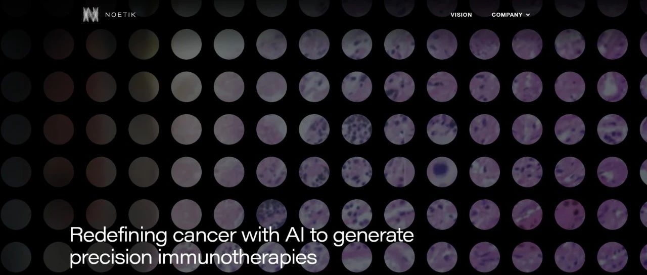 全球数字健康观察 | 获得4000万美元A轮融资的Noetik如何用AI多组学重新定义精准疗法_大数跨境｜跨境从业者专属的媒体平台