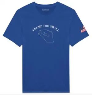 案例分析：美国专利商标局拒绝注册"Trump Too Small"作为商标是否违反了言论自由？- 大数跨境