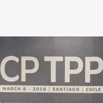 CPTPP，中国进入群聊- 大数跨境