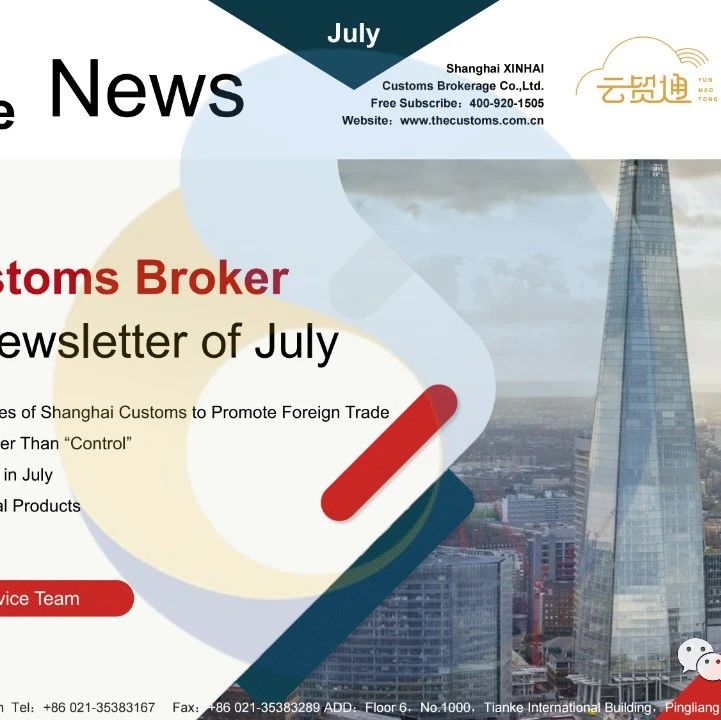 Xinhai Customs Newsletter of July 2023- 大数跨境