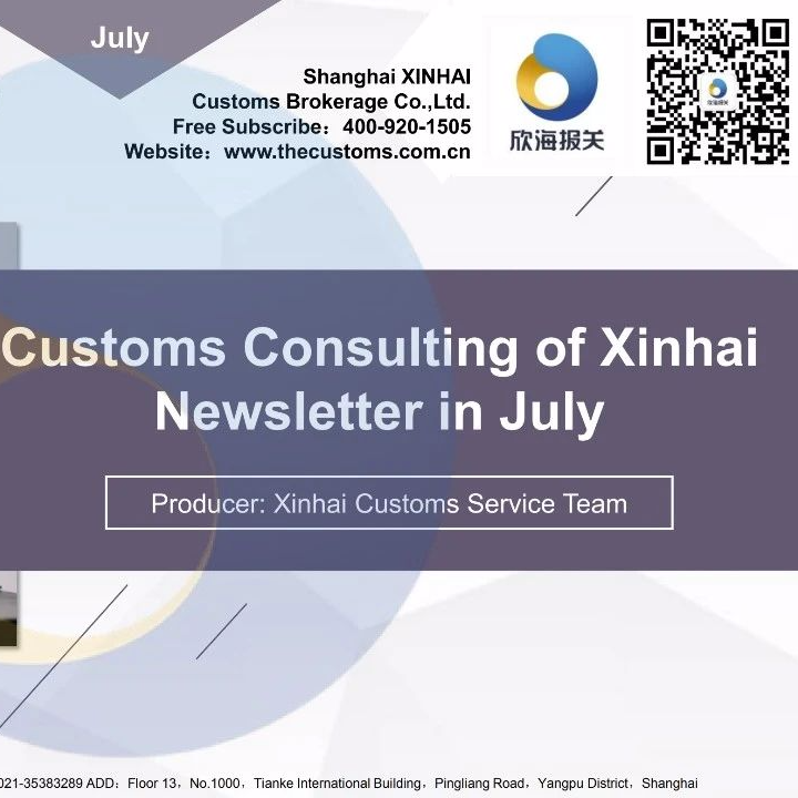 Xinhai Customs Newsletter of July- 大数跨境