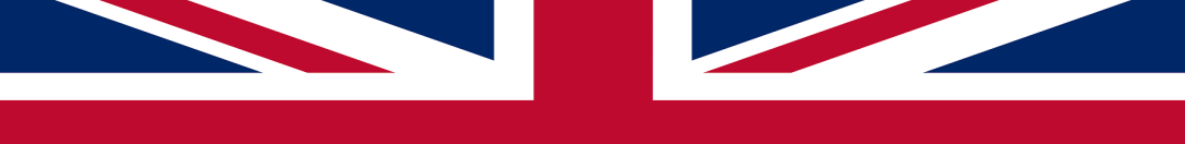 Meet BritCham New Members 广东英商会新会员介绍- 大数跨境
