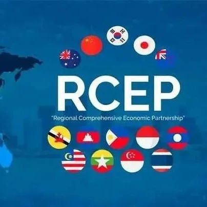 截至上半年，全国贸促系统RCEP原产地证书签证金额同比增长超25％- 大数跨境