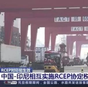 RCEP带着印尼一起玩！——RCEP原产地证书申报指南- 大数跨境