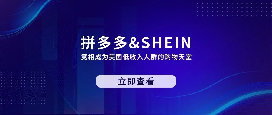 拼多多&SHEIN丨竞相成为美国低收入人群的购物天堂- 大数跨境