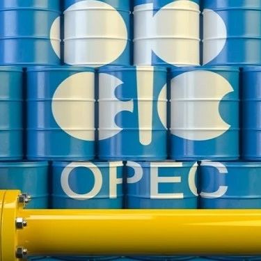 OPEC：尼日利亚正常运行的石油钻井平台小幅增加至16台- 大数跨境