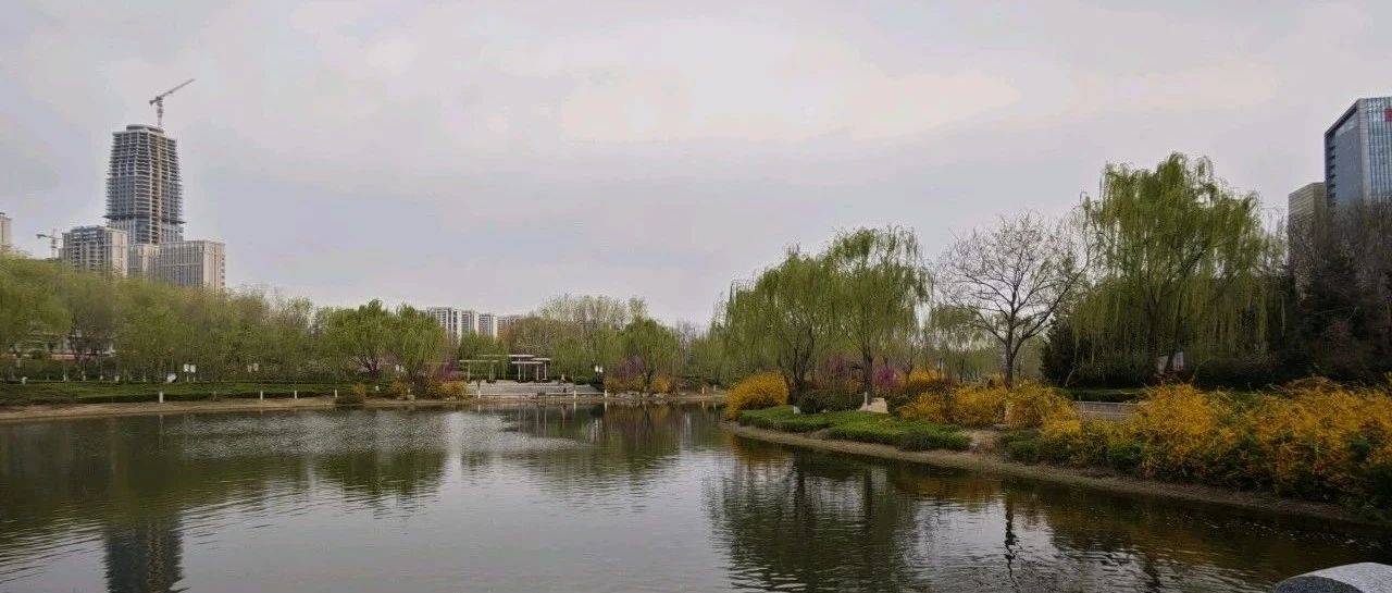 境外机构账户体系梳理：境外账户、NRA、OSA、FTN 账户的区别与联系- 大数跨境