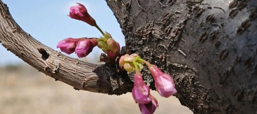 境外机构账户体系梳理：境外账户、NRA、OSA、FTN 账户的区别与联系- 大数跨境