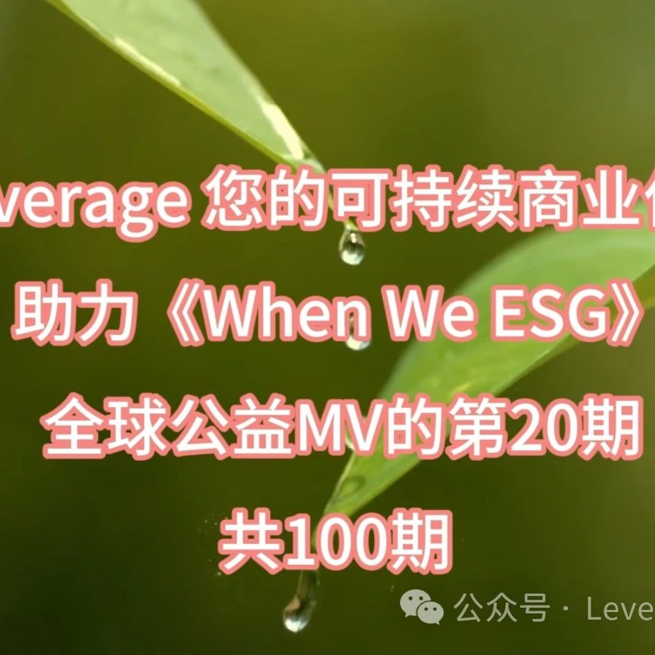 Leverage助力《When We ESG》全球公益MV第20期- 大数跨境