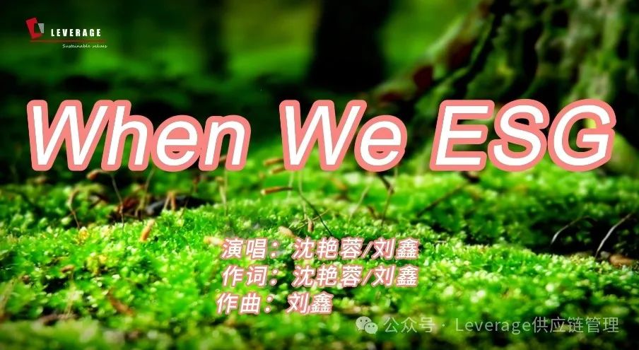 Leverage助力《When We ESG》全球公益MV第20期- 大数跨境