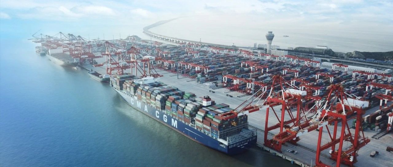 【外贸知识】避坑指南：如何管理外贸中的THC和DTHC费用？- 大数跨境