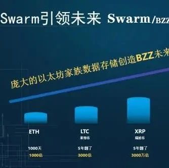 Swarm和IPFS之间有什么区别？Swarm根据发展潜力？- 大数跨境