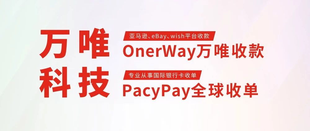 万唯携PacyPay收单产品惊艳亮相湖北跨境电商行业峰会- 大数跨境
