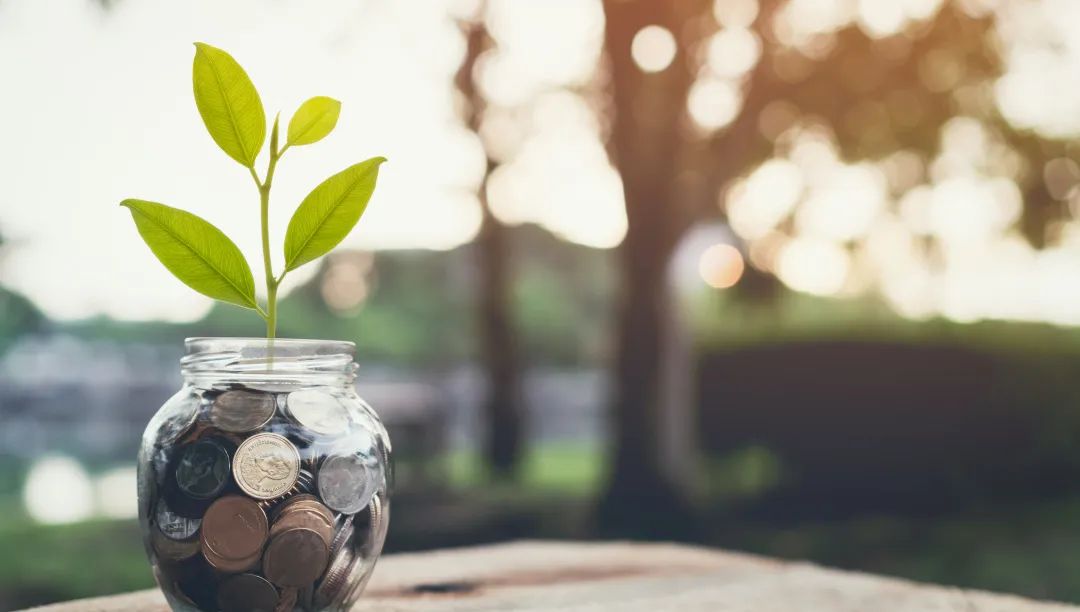 Expeditors Sea+Air 海空联运- 大数跨境