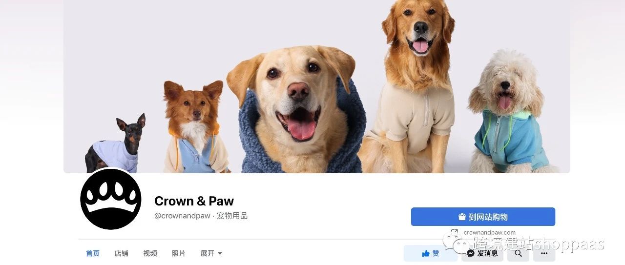 Crown & Paw宠物品牌的风靡是产品优良还是品牌策略的巧妙操作？- 大数跨境