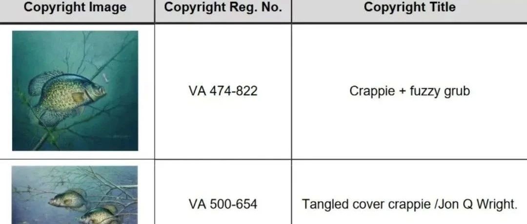版权画维权不断！Jon Q. Wright鱼画版权立案维权！16张版权画请规避！- 大数跨境