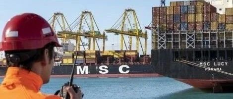 ONE、阳明、HMM将与MSC结盟？- 大数跨境