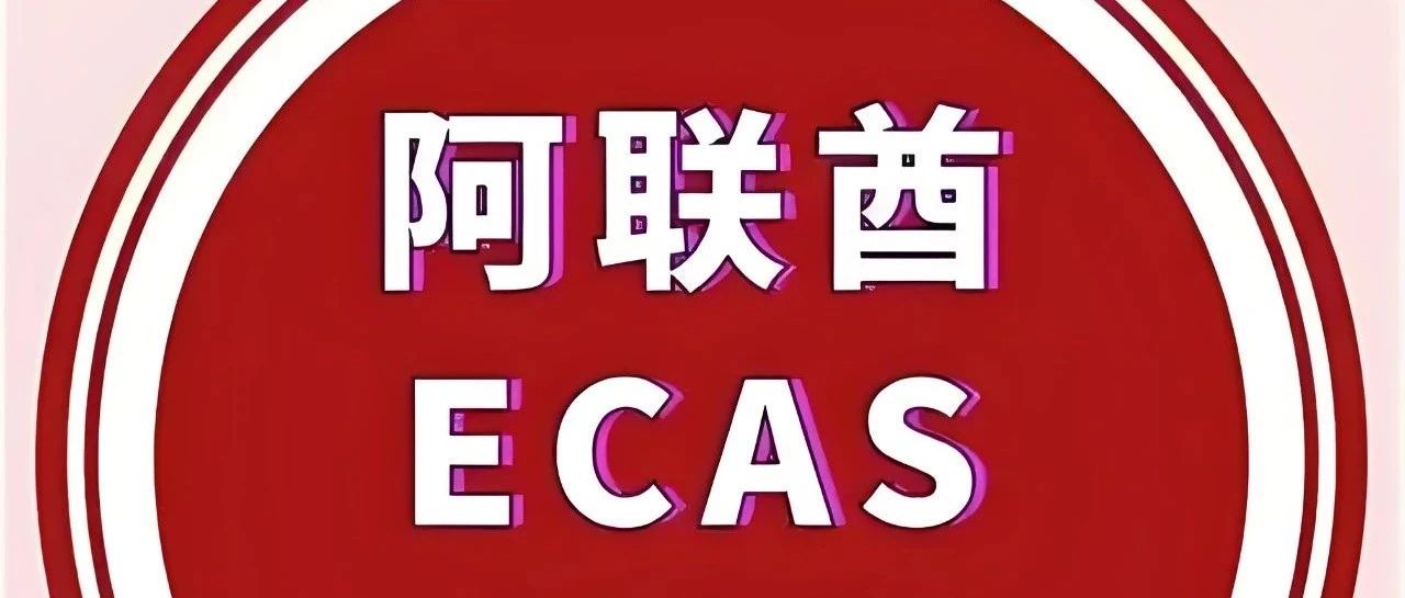 ECAS认证是电子电器产品进入迪拜市场的关键一步（GCC/ECAS/ROHS认证、CB报告和EMC报告）- 大数跨境