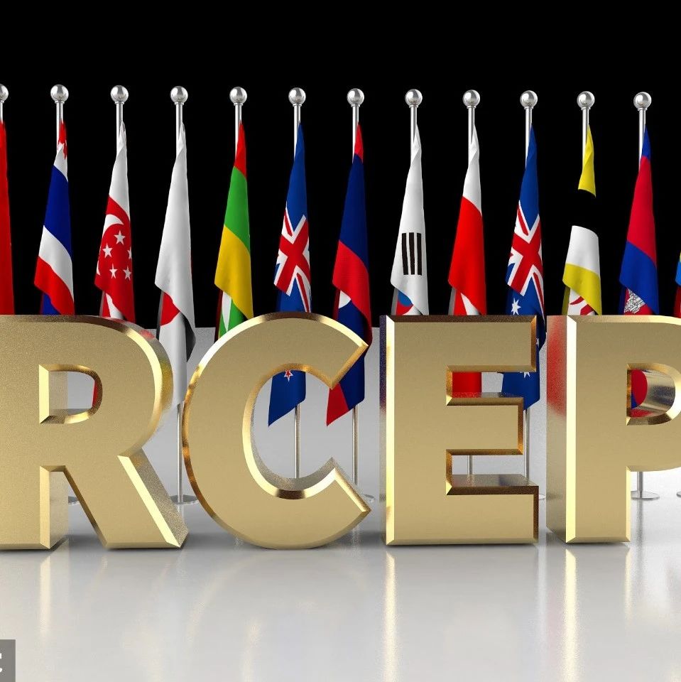 RCEP新观察｜RCEP生效后，我国对其他成员国进出口有何新变化？- 大数跨境