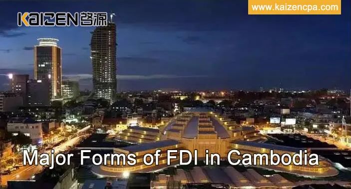 Major Forms of FDI in Cambodia- 大数跨境