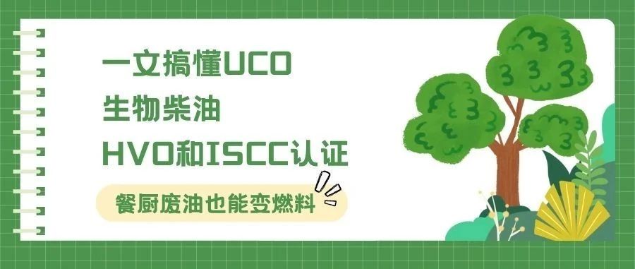 餐厨废油也能变燃料？一文搞懂UCO、生物柴油、HVO和ISCC认证！- 大数跨境