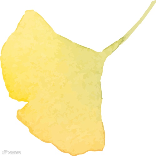 PO、PI、CI、PL 的区别- 大数跨境