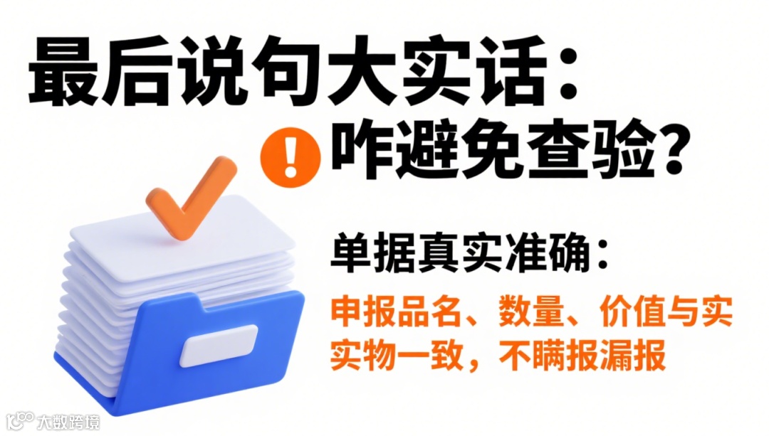 货物到港被海关查了？VACIS、Tailgate、Intensive…这3种查验到底啥区别？一篇讲透！ - 大数跨境