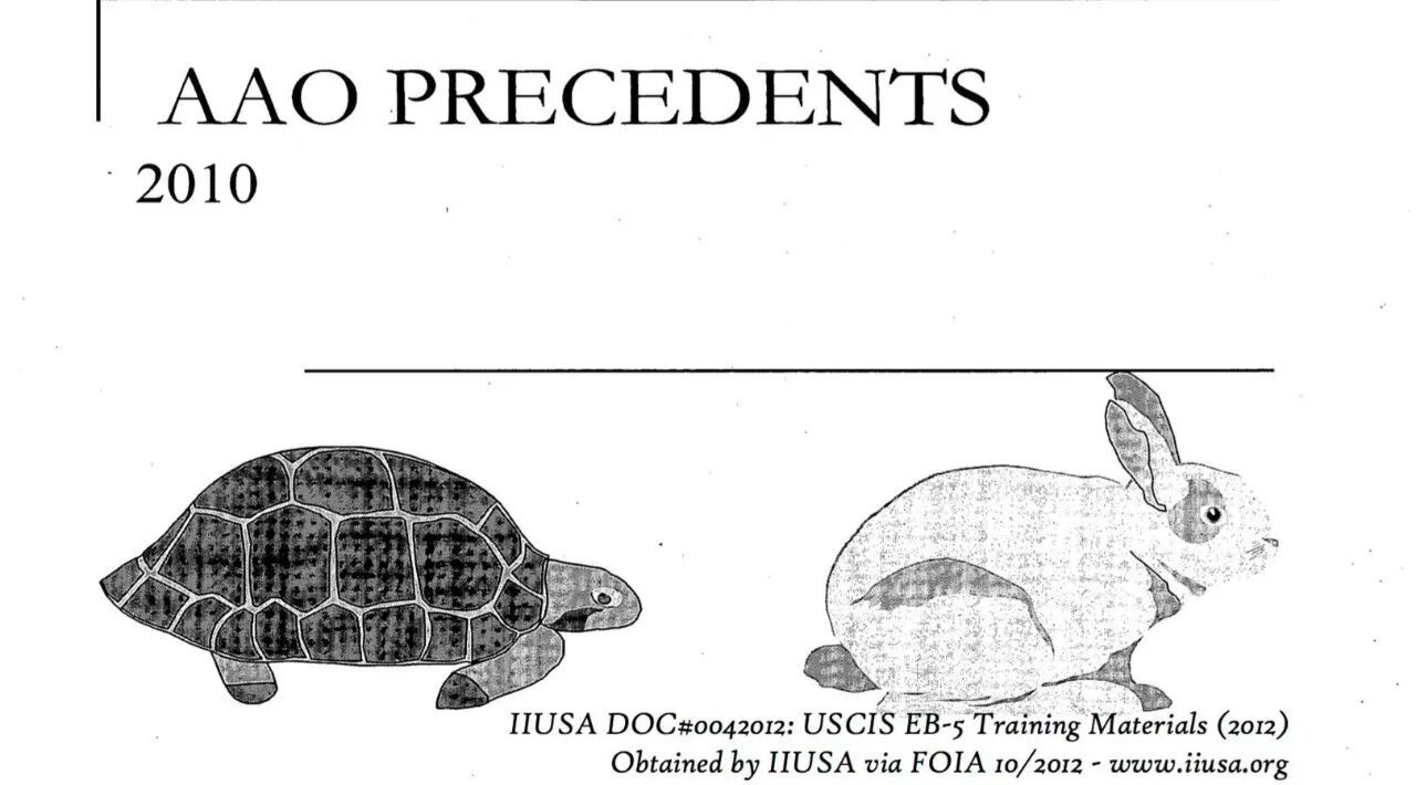 AAO的Precedent和Non-Precedent判决｜EB-5进阶- 大数跨境