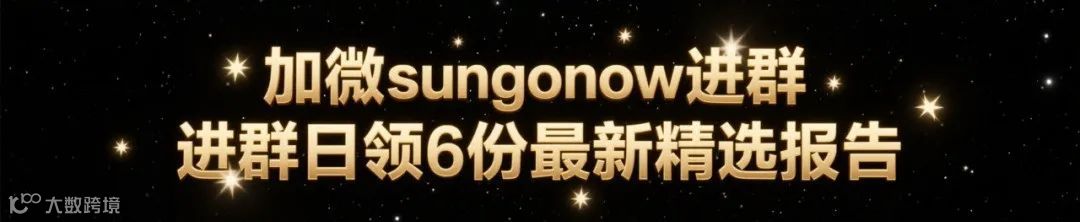 115页-QuestMobile-2024中国移动互联网年度大报告- 大数跨境