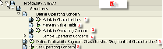 SAP CO-PA获利能力分析- 大数跨境