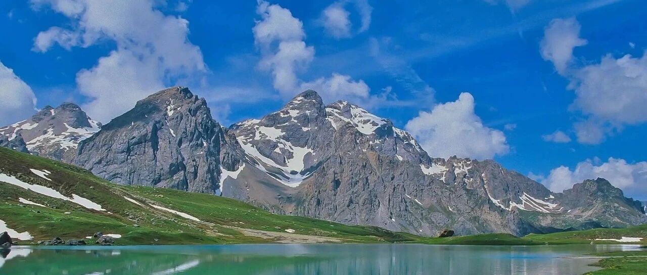 期刊“开放获取”费用对比：哪些学科发OA期刊性价比最高？- 大数跨境