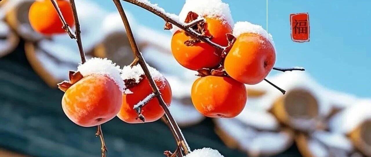 今日霜降：一年最易补的黄金15天！一定要喝这碗霜降汤！特别是脾虚湿重的人- 大数跨境