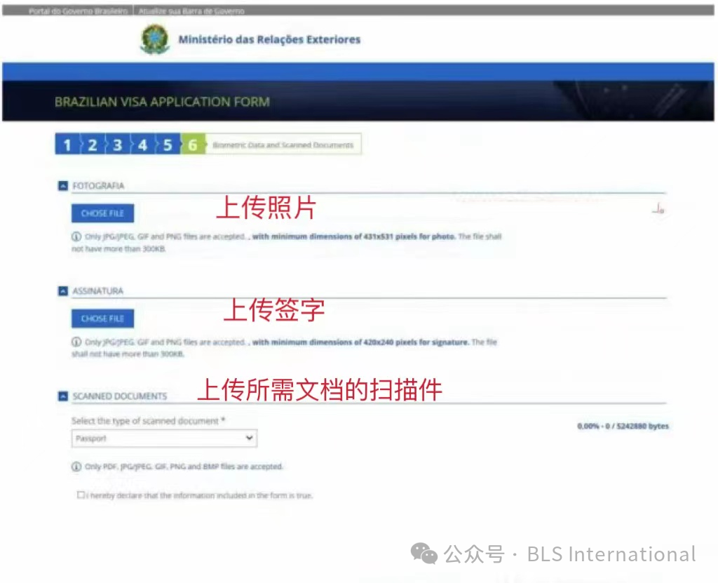 手把手教您预约巴西签证| How to Book a Brazilian Visa appointment online- 大数跨境