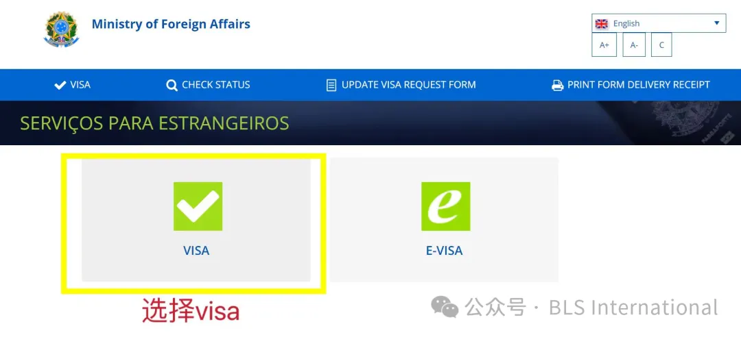手把手教您预约巴西签证| How to Book a Brazilian Visa appointment online- 大数跨境
