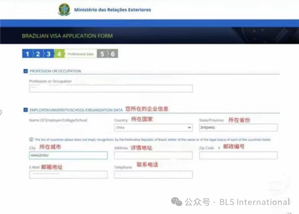 手把手教您预约巴西签证| How to Book a Brazilian Visa appointment online- 大数跨境