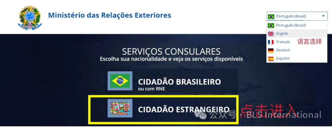 手把手教您预约巴西签证| How to Book a Brazilian Visa appointment online- 大数跨境