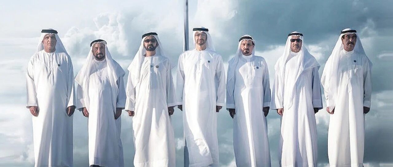 阿联酋国家战略 | “We The UAE 2031”愿景（中文版全文）- 大数跨境