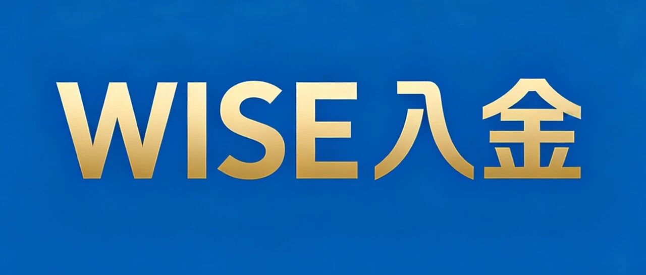 Wise入金终极指南(2025版)- 大数跨境