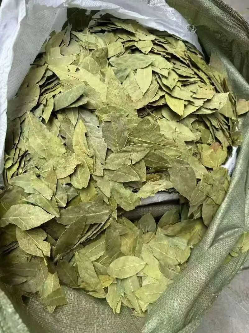 香料进口免药检-清关操作经验分享- 大数跨境