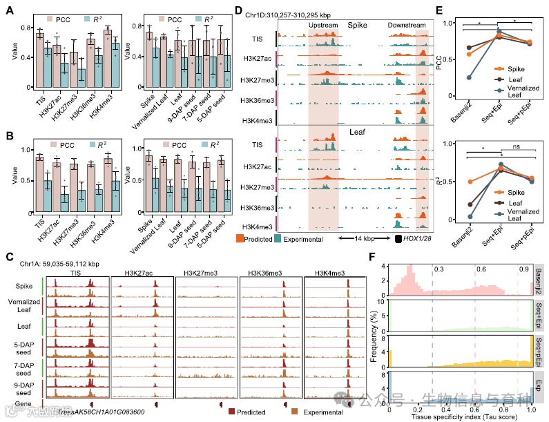 【国科科技港】中国农科院发布DeepWheat：用AI精准预测小麦基因表达与调控- 大数跨境