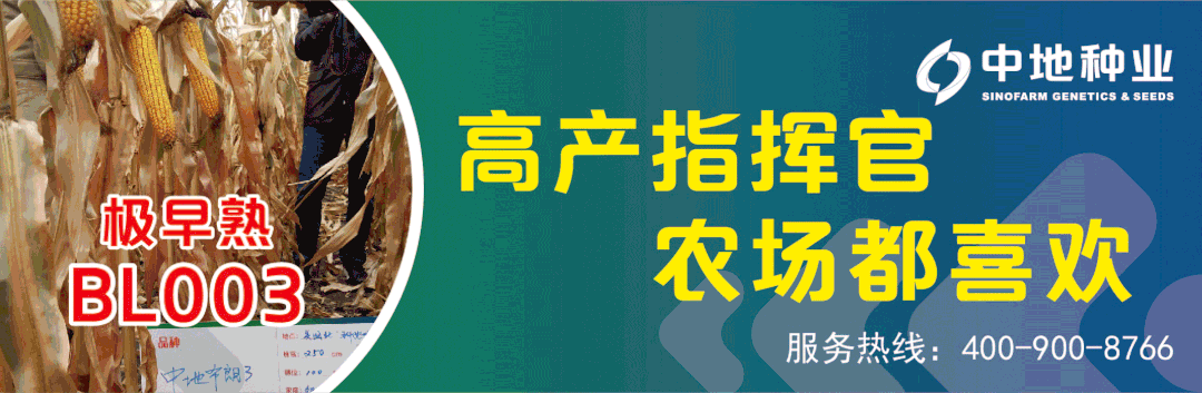 【国科科技港】中国农科院发布DeepWheat：用AI精准预测小麦基因表达与调控- 大数跨境